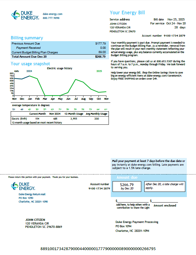 USA Duke Energy utility bill template in Word and PDF formats, version ...